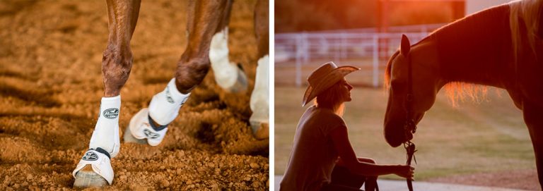 Training - 4Hearts Ranch