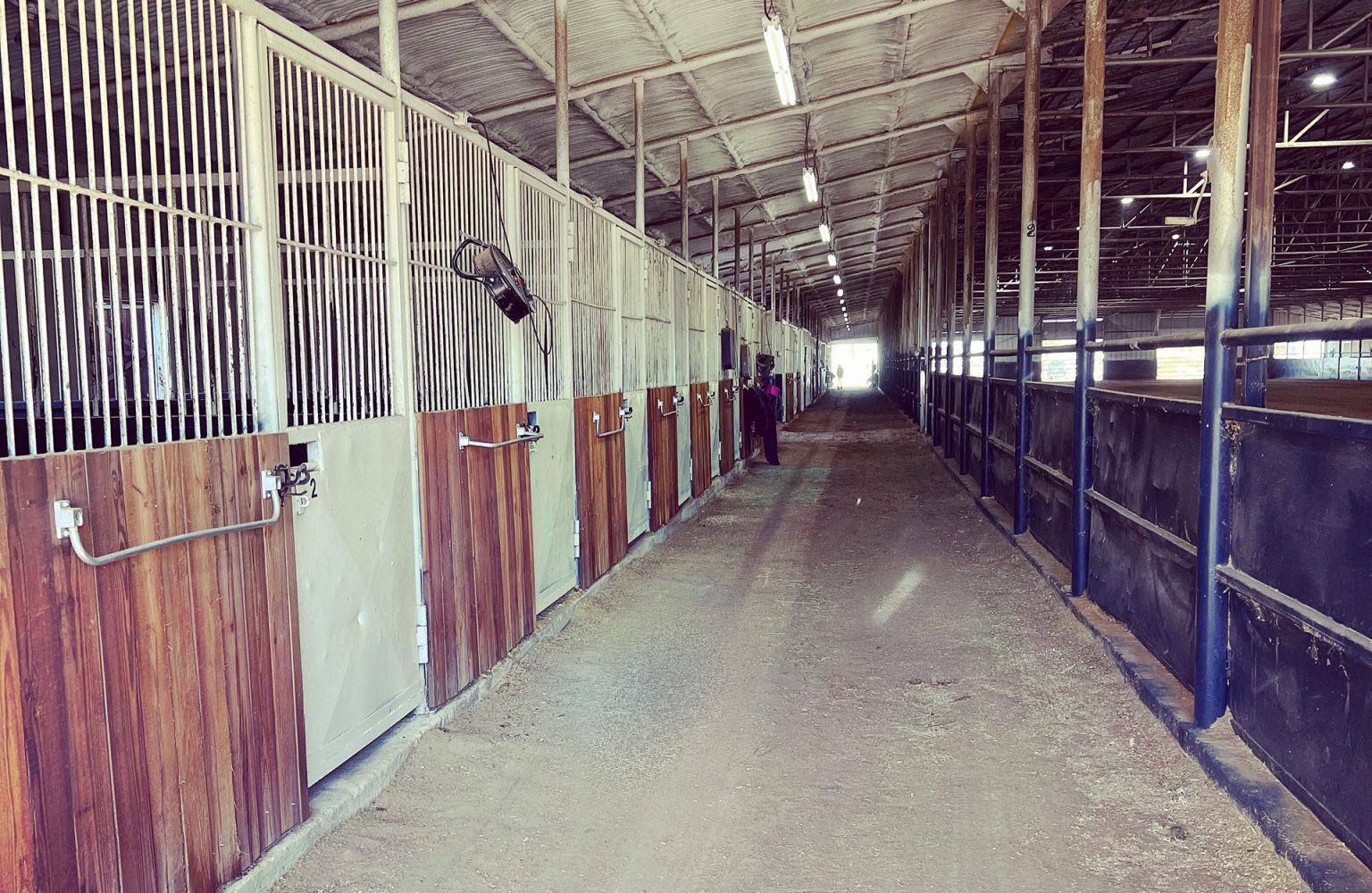 Stall Boarding - 4Hearts Ranch