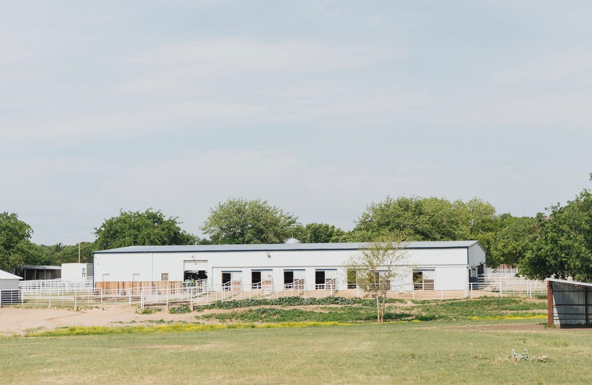 Stall Boarding - 4Hearts Ranch