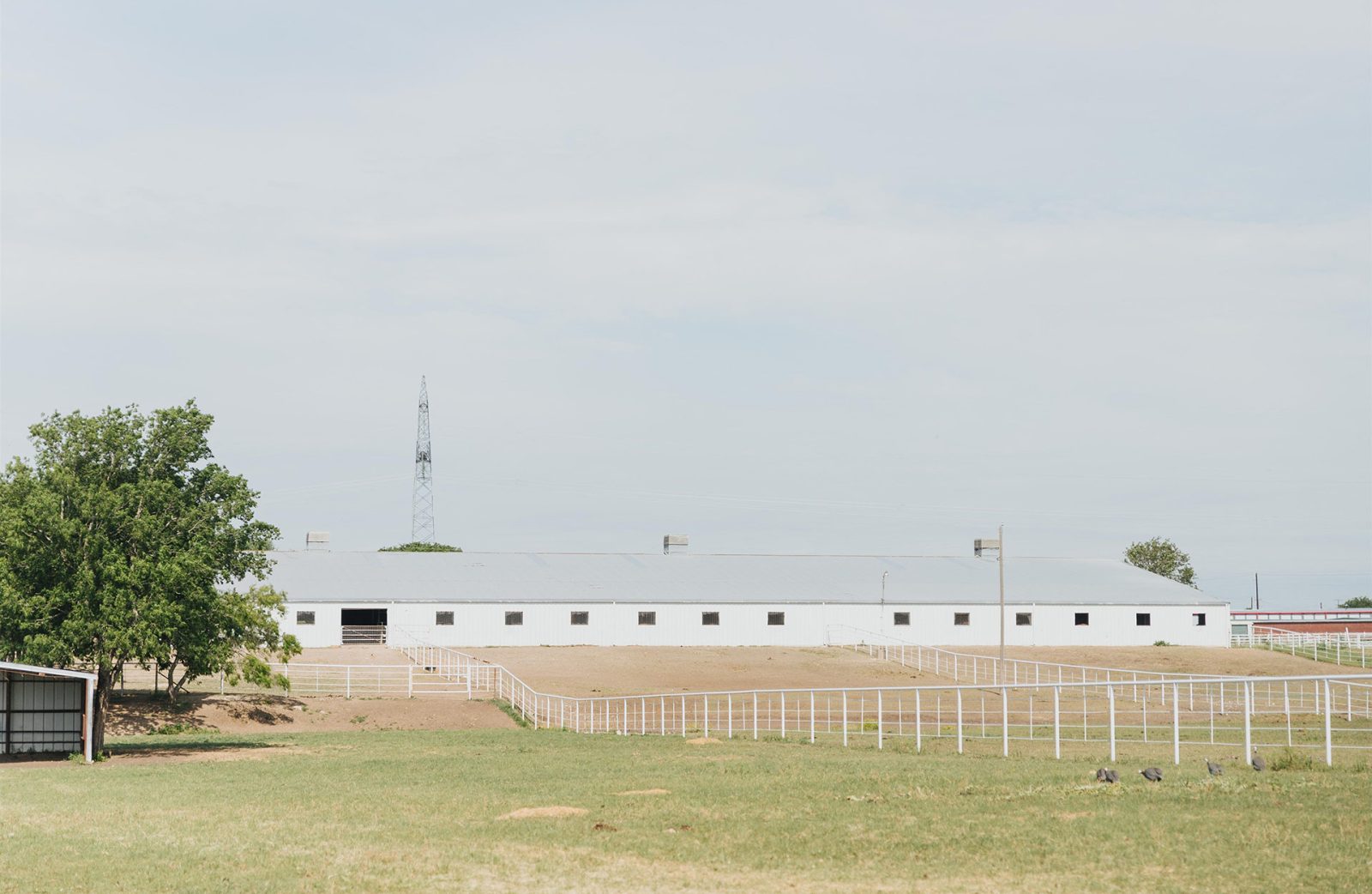 Stall Boarding - 4Hearts Ranch