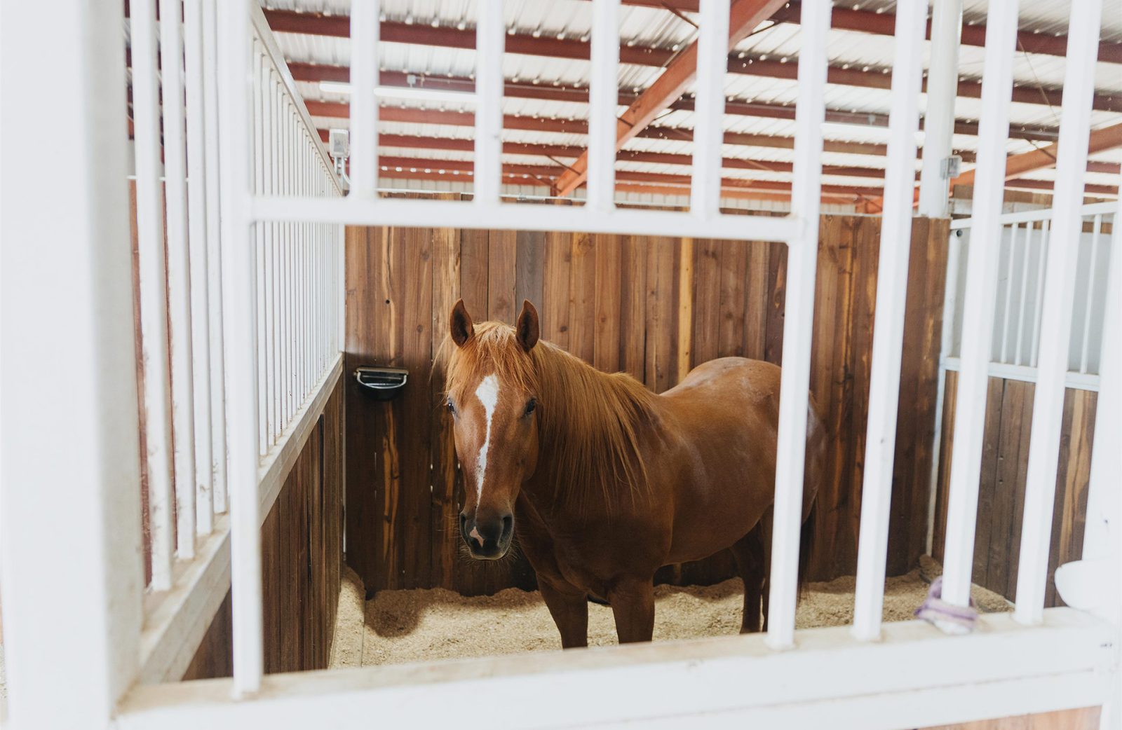 Stall Boarding - 4Hearts Ranch
