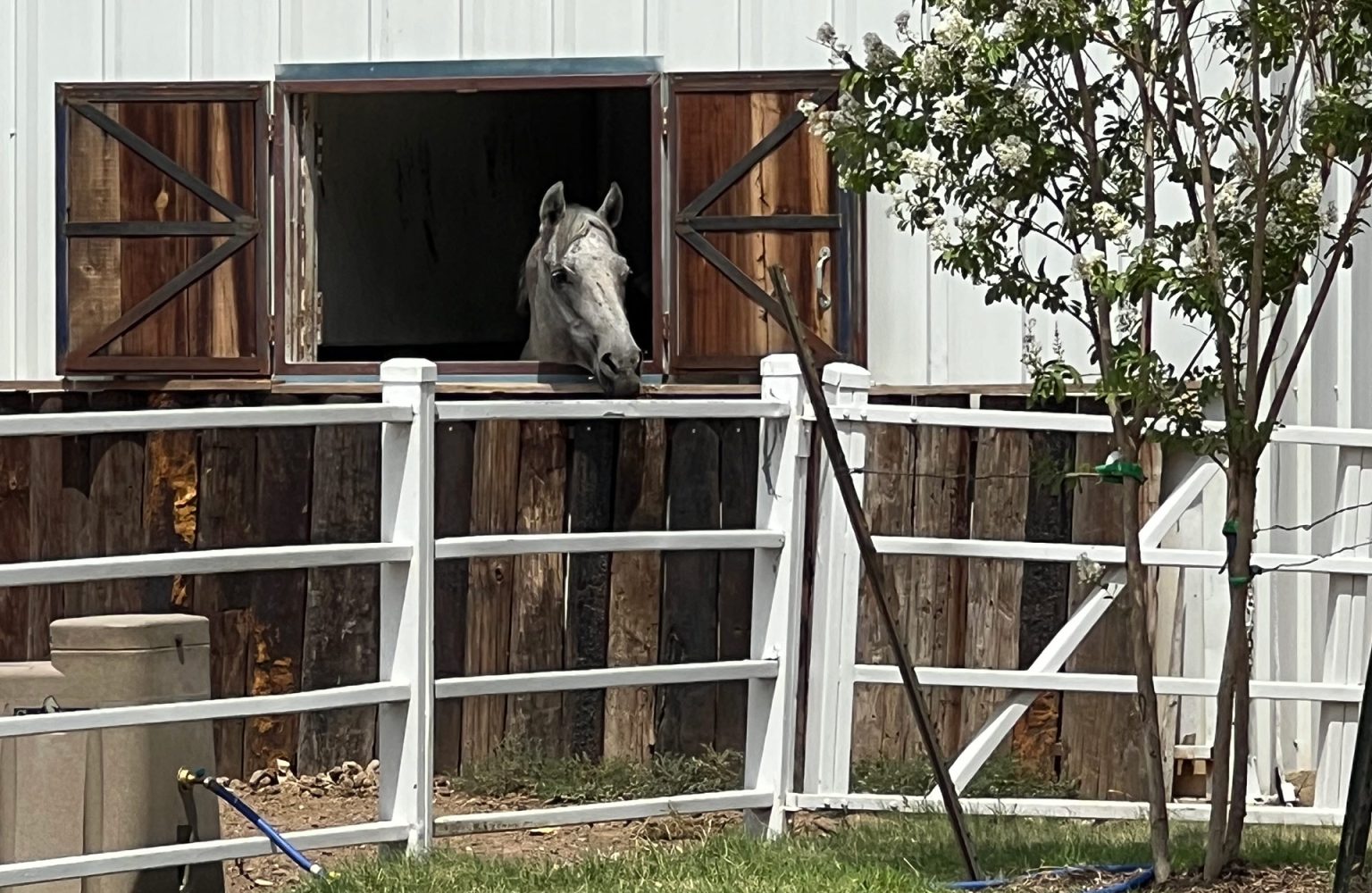 Stall Boarding - 4Hearts Ranch