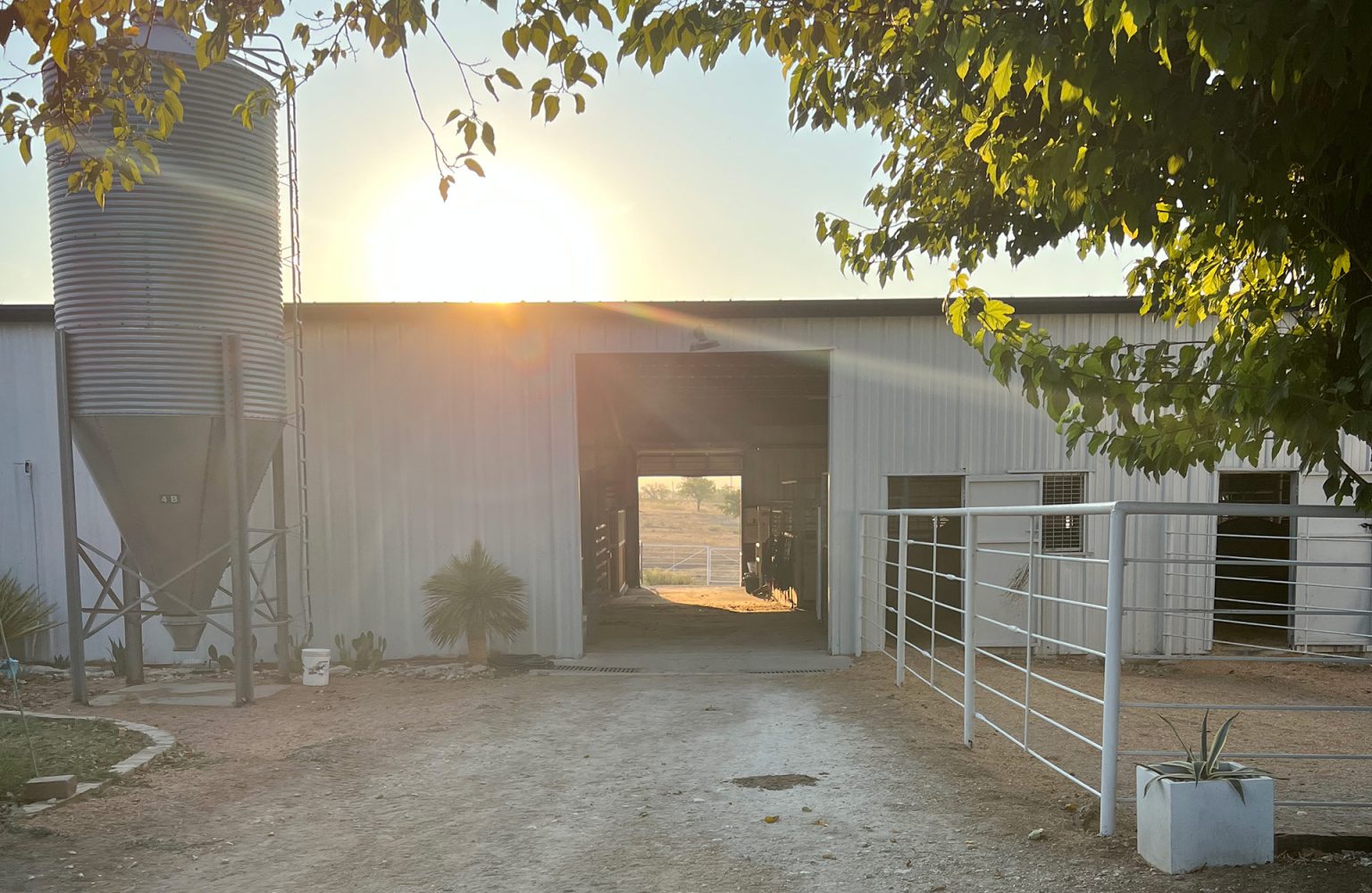 Stall Boarding - 4Hearts Ranch