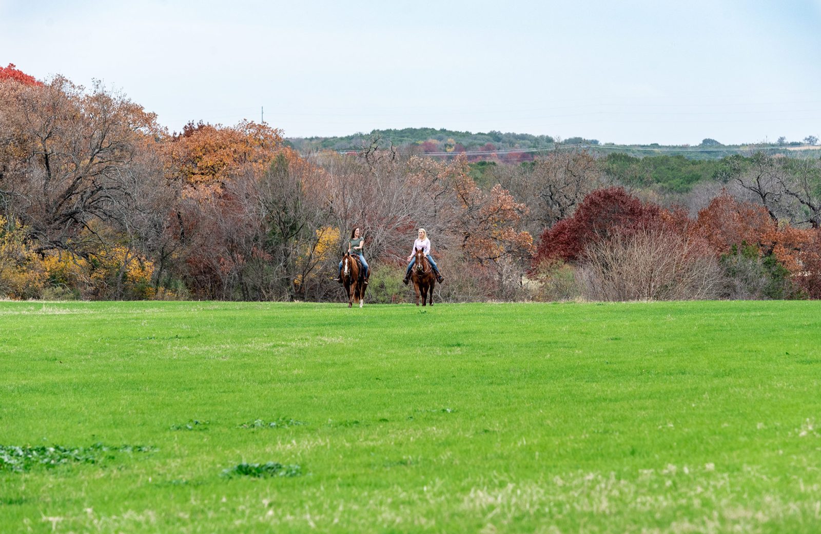 Ride-in, Ride Out Trails—Right Here at the Ranch - 4Hearts Ranch