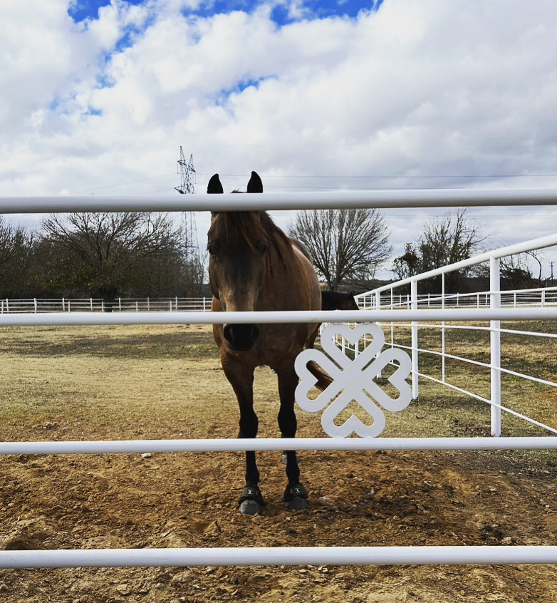 Full House! - 4Hearts Ranch